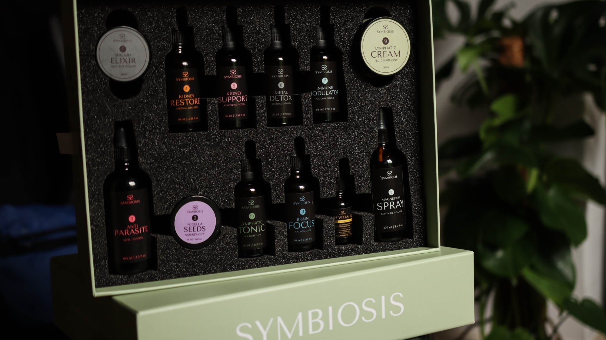 SYMBIOSIS – Symbiosis