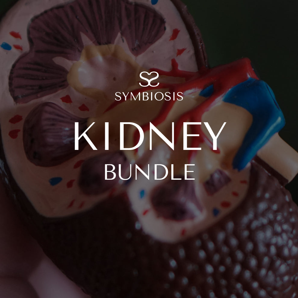 Kidney Bundle – Symbiosis